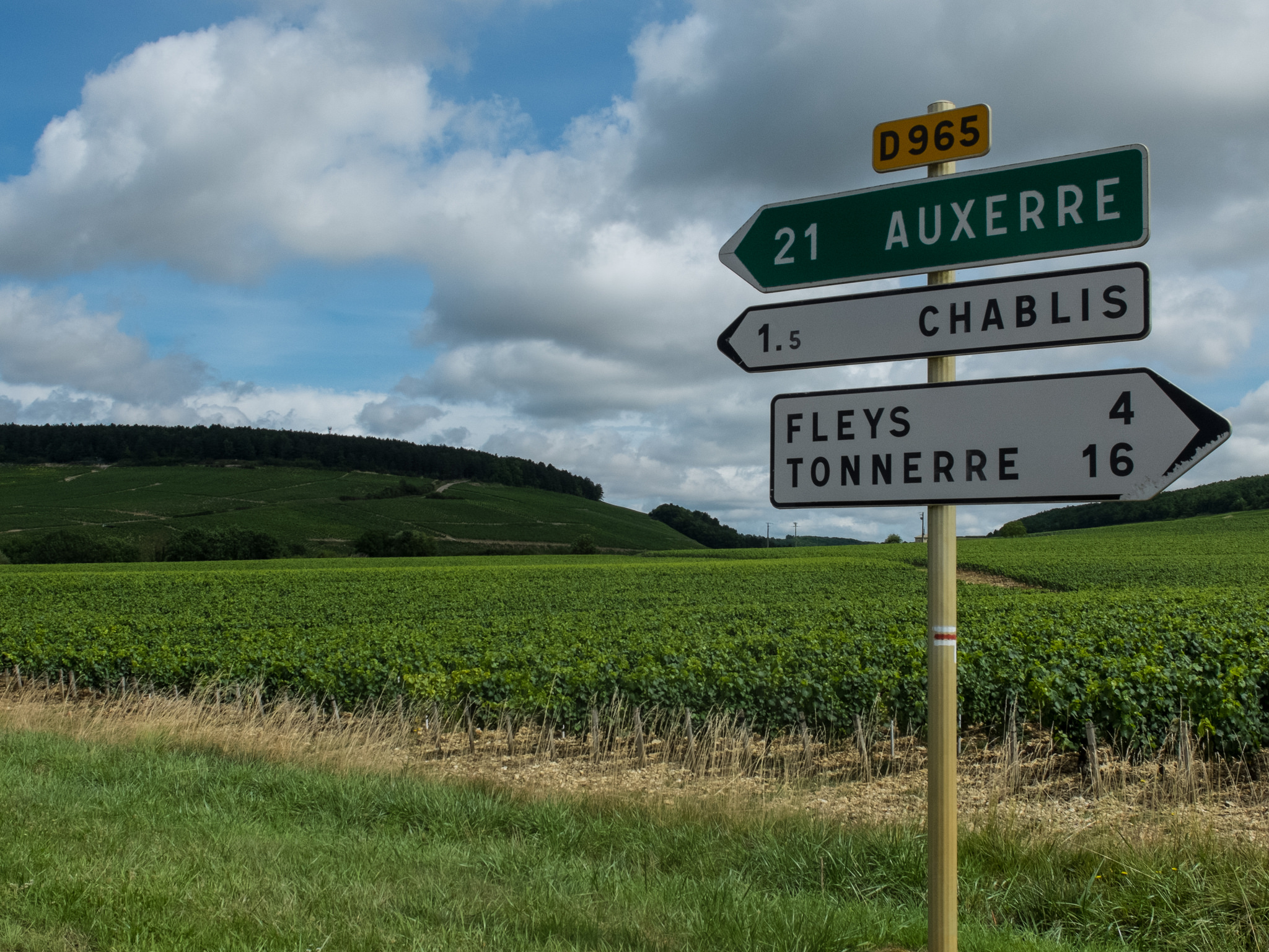Chablis: Drink Deep, or Taste Not the Pierian Spring!!! - Wine4Food