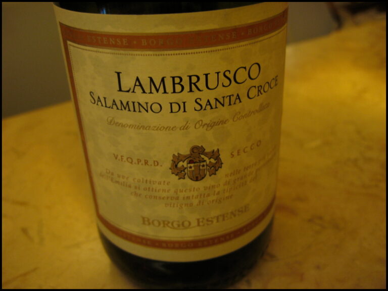 Lambrusco, the Pink Sparkling for Adults - Wine4Food