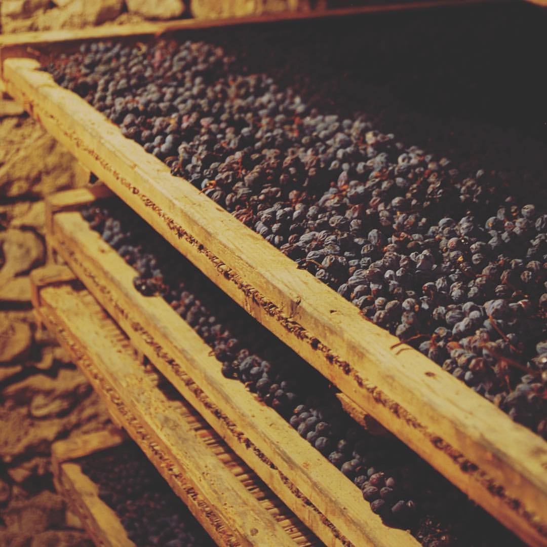 Valpolicella: One Region. Four Wines - Wine4Food