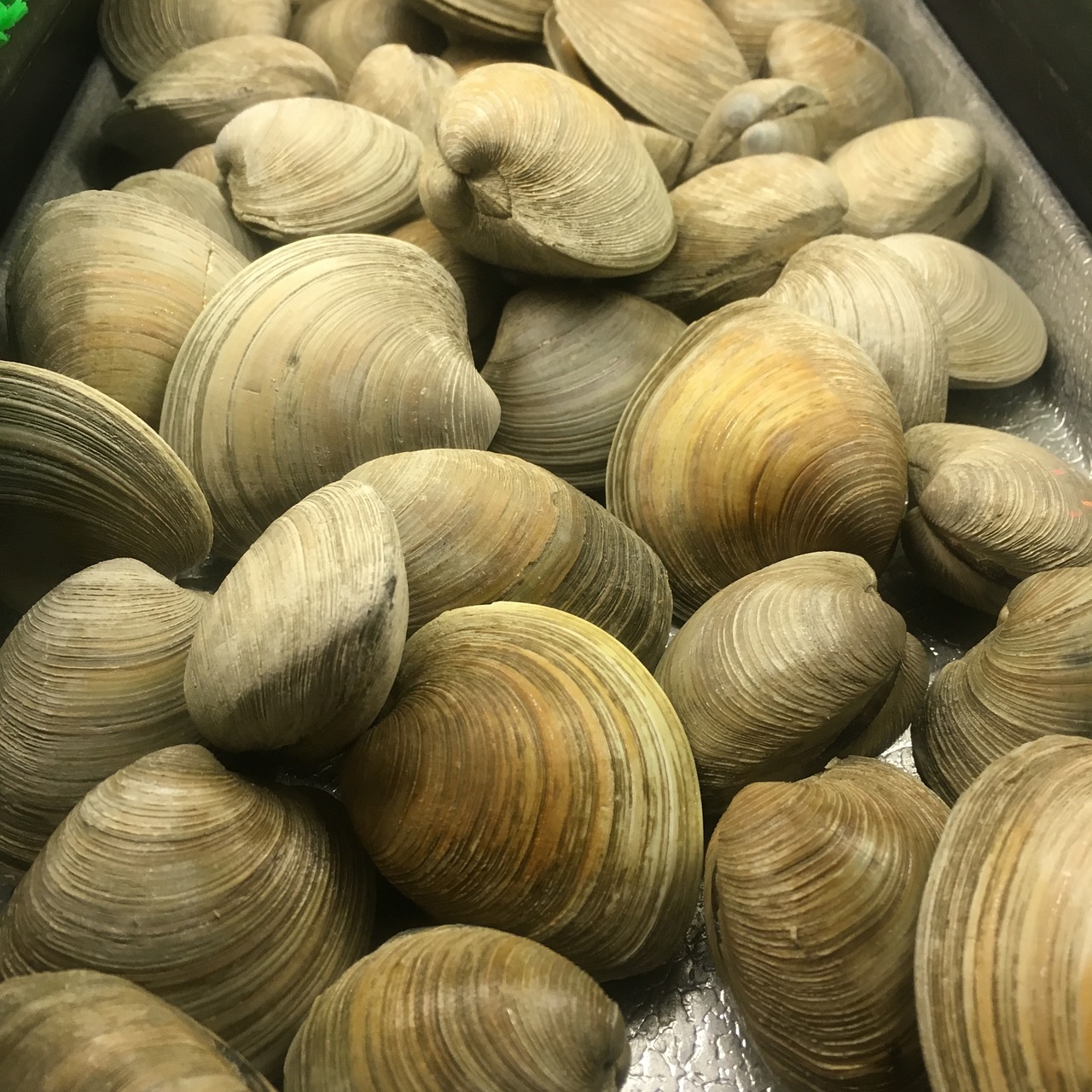 Steamer Clams with Wine Broth and Garlic Herb Butter - Wine4Food