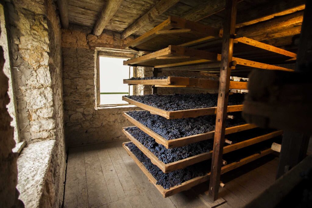 CORNER WINDOW-RACKS OF Drying GRAPES - Appassimento - Wine4Food