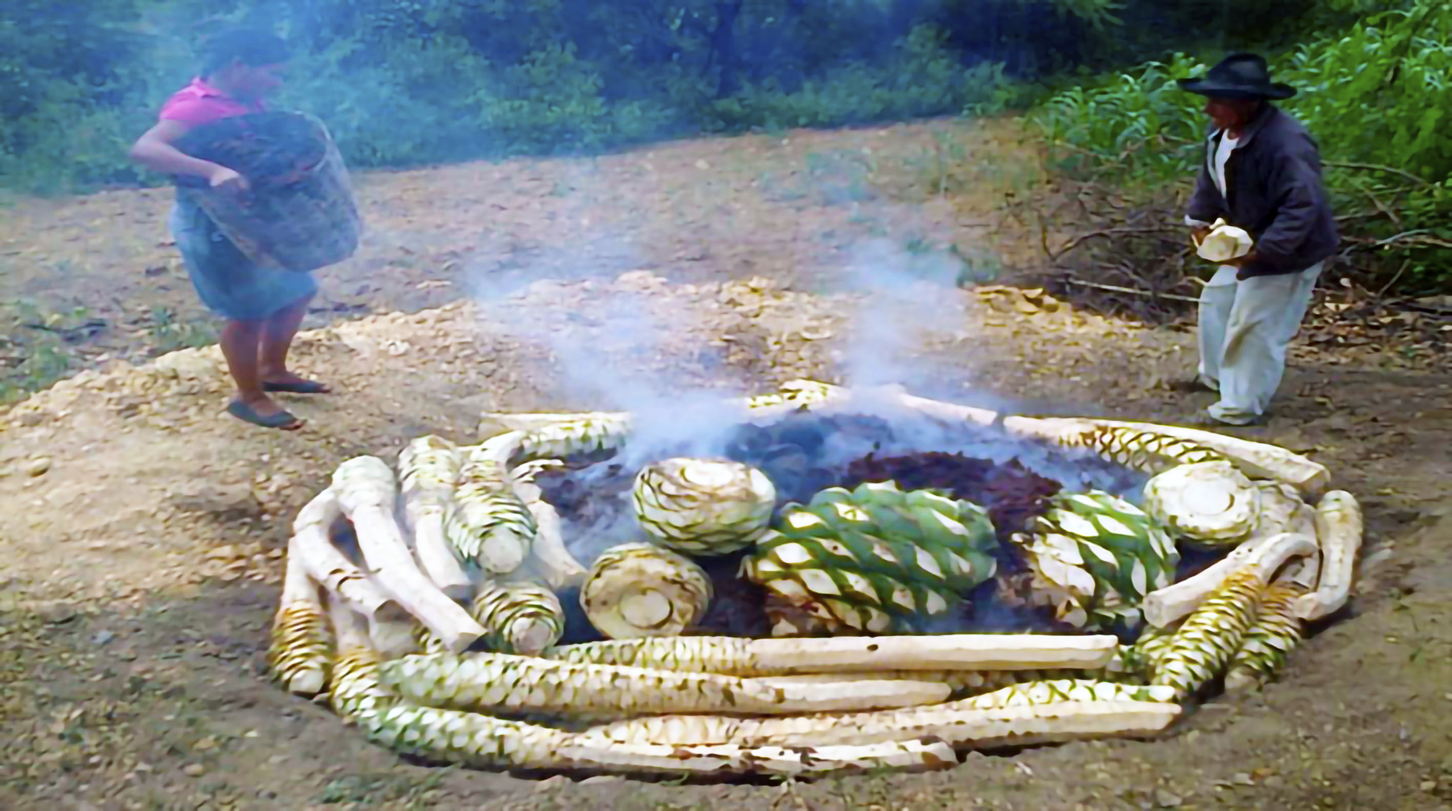 Mezcal_Agave_Piñas_Earth_Oven_Smokey_Wine4Food - Wine4Food