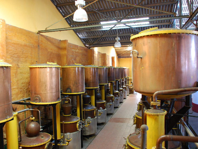 Pisco: The Spirit and Pride of Peru Takes Flight! - Wine4Food