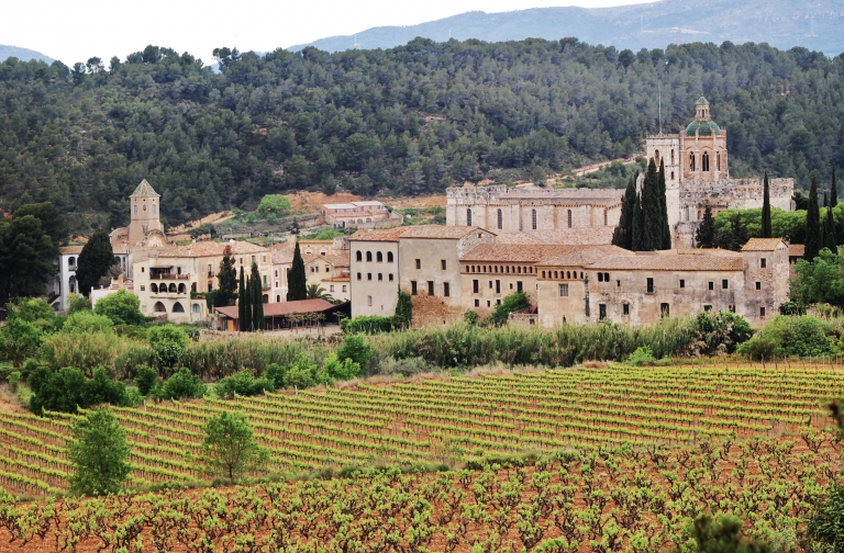 Here’s What You Need to Know About Catalan Wine - Wine4Food