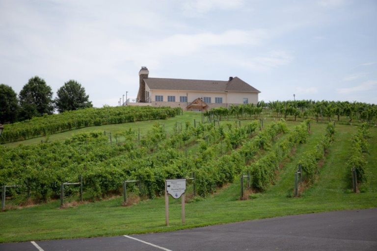Melanie Sips the World: Discovering Virginia Wine Country - Wine4Food