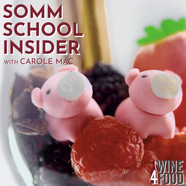 SOMM TASTING NOTES: Sabra Lewis Tastes Basile Comandante - Wine4Food