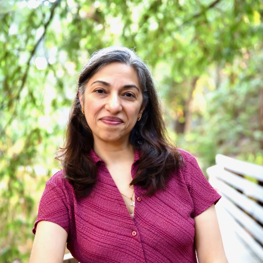 Sweet Potato Vegetable Curry - Wine4Food